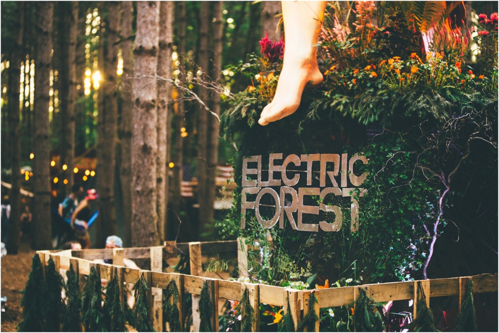 Electric Forest Festival 2014 | Rothbury, MI » Abby Fox Photography