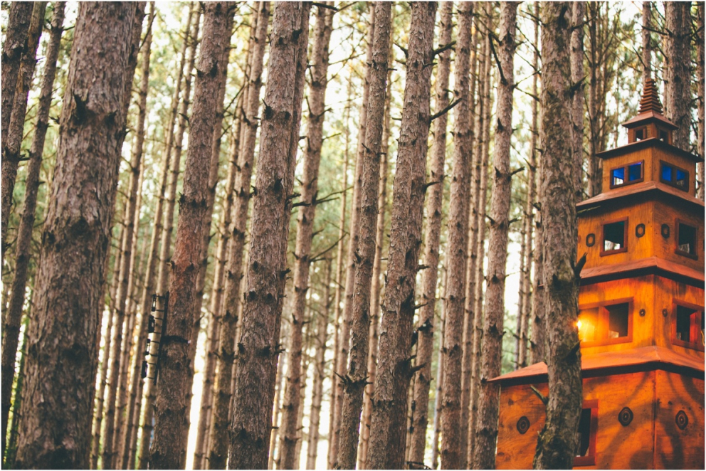 Electric Forest Festival 2014 | Rothbury, MI » Abby Fox Photography